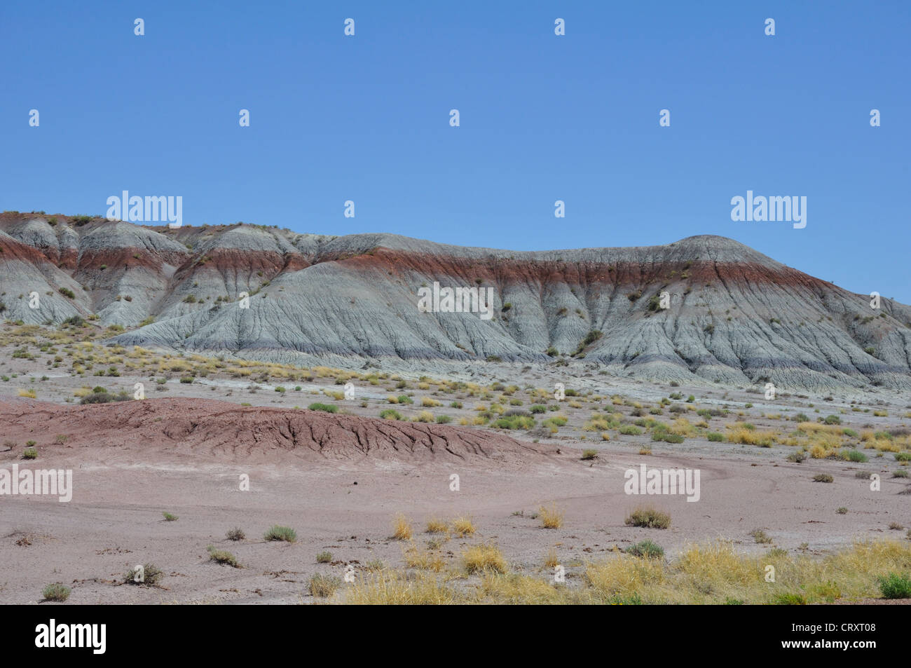 Petrified Forest National Park, Arizona, USA Stock Photo - Alamy