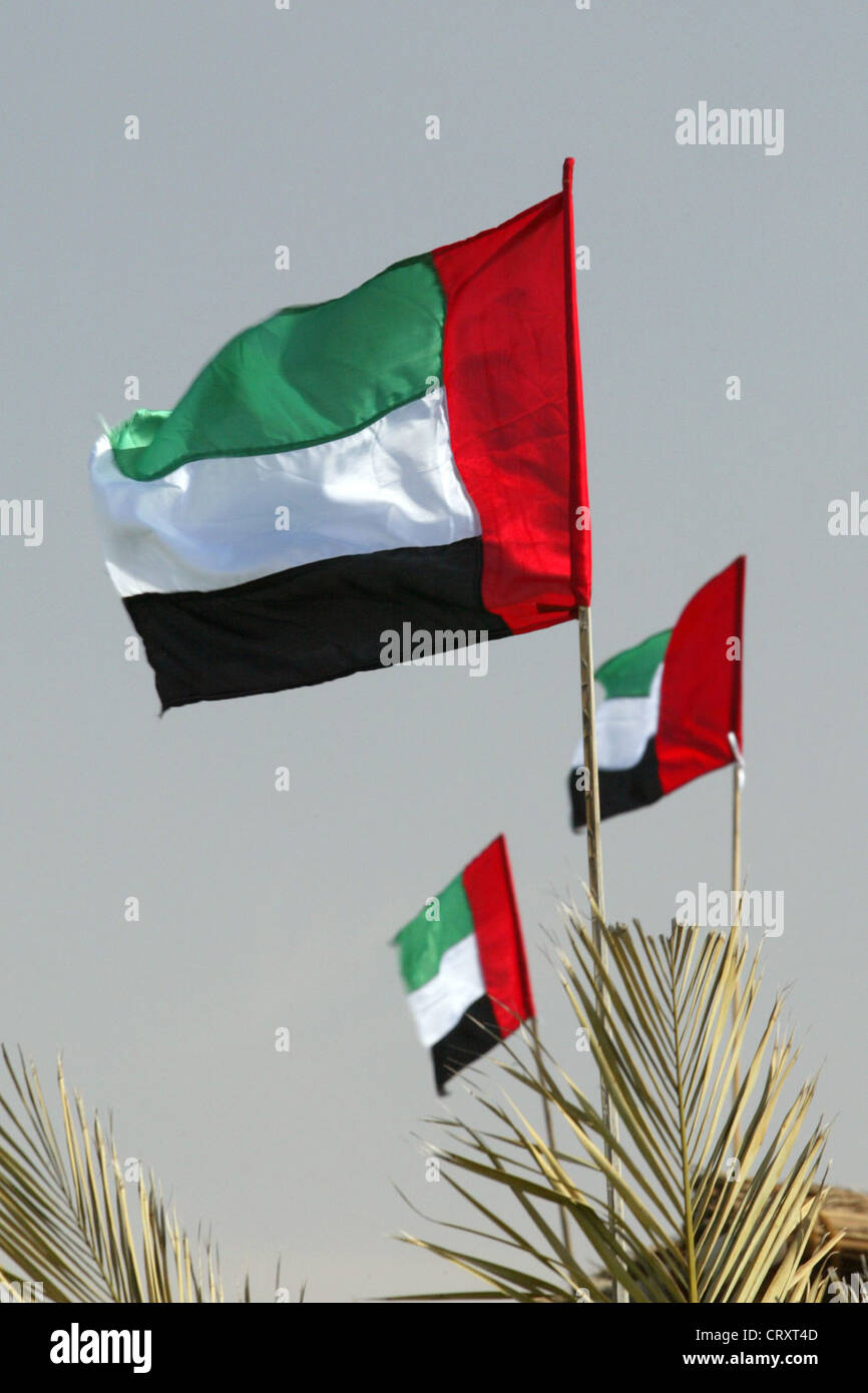 Representative photo of the flag of the United Arab Emirates, Dubai ...