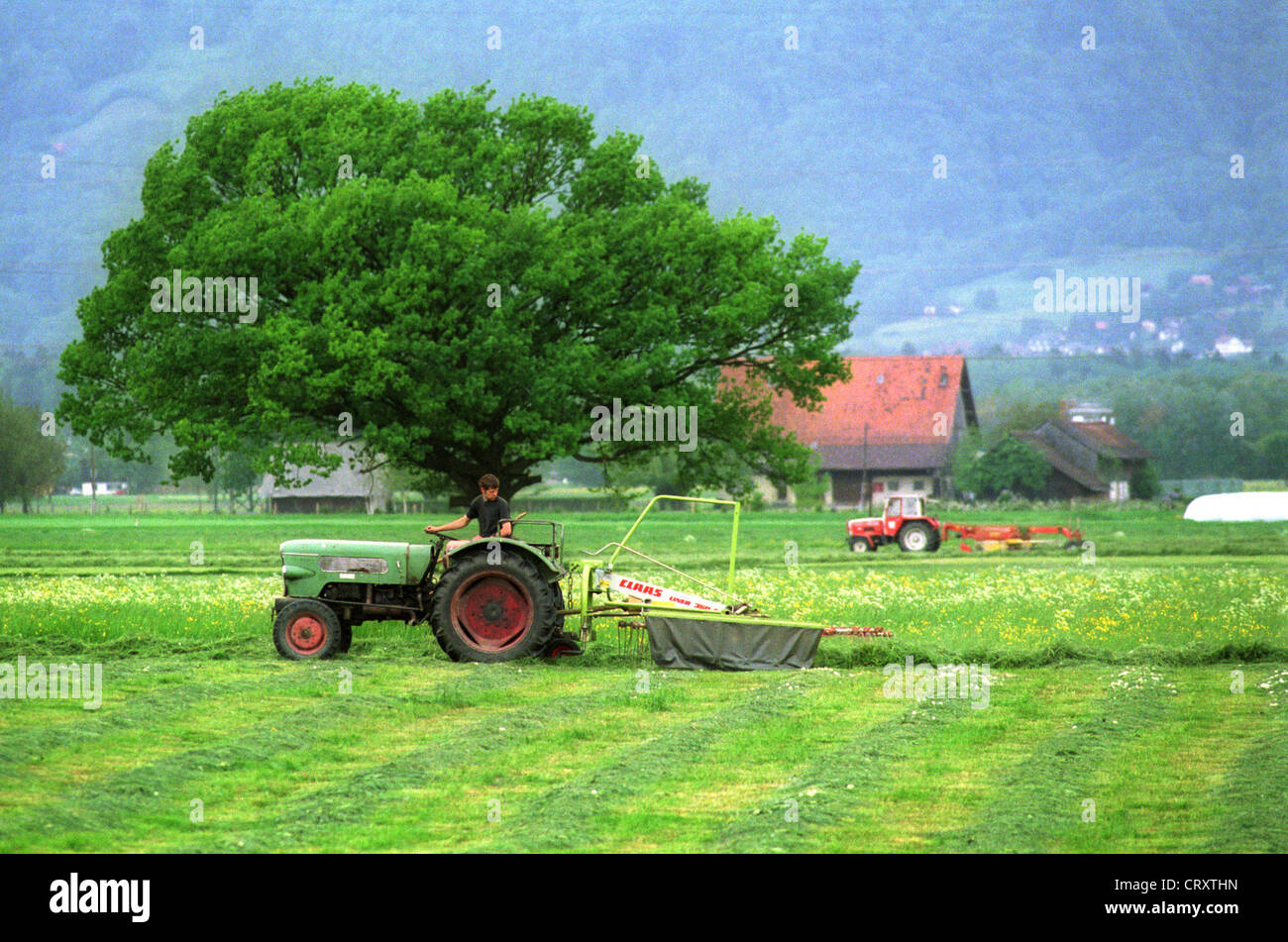 Farmer in haymaking, Austria Stock Photo - Alamy