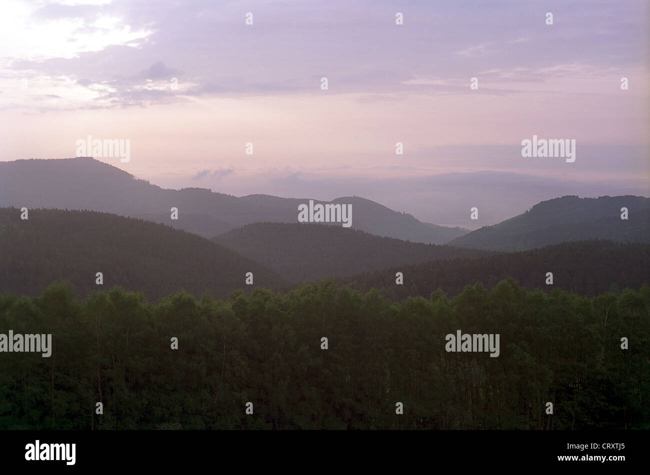 Dawn in the Vosges mountains (Alsace Stock Photo - Alamy