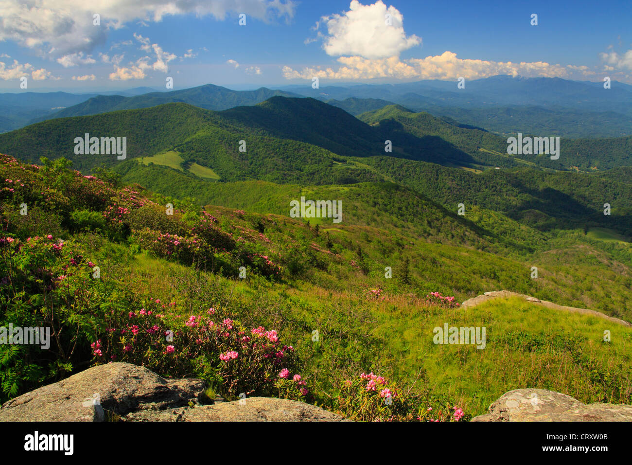 Roan mountain hi-res stock photography and images - Alamy