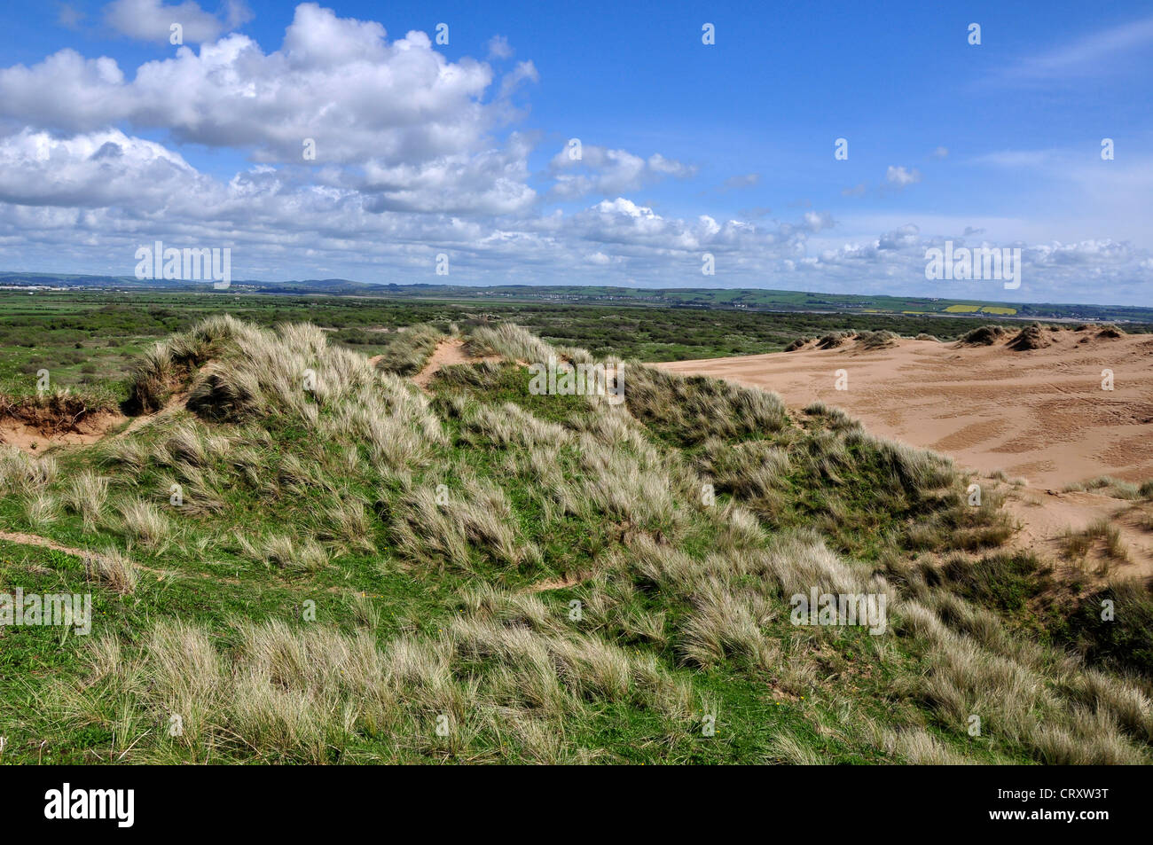 A view of the sand dunes at Braunton Burrows north Devon UK Stock Photo ...