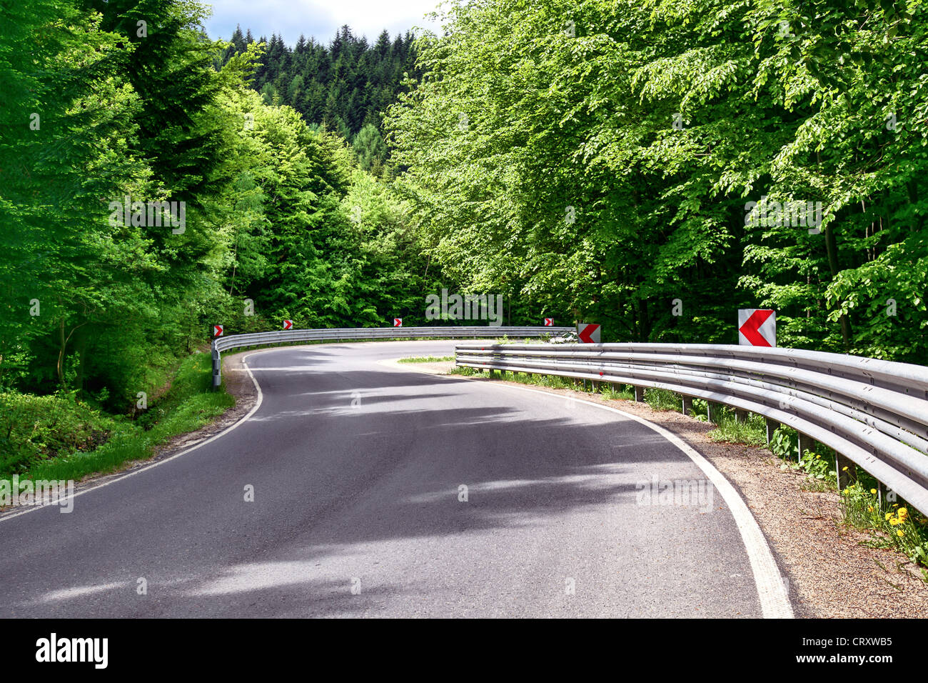 Winding curve road in a green forest Stock Photo - Alamy