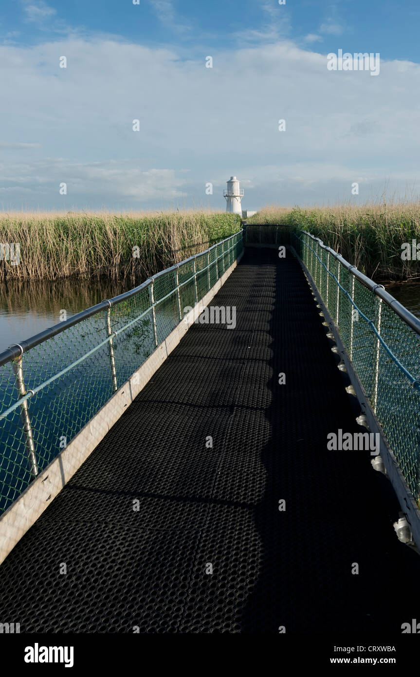 Newport Wetlands, Gwent levels, South Wales Stock Photo - Alamy