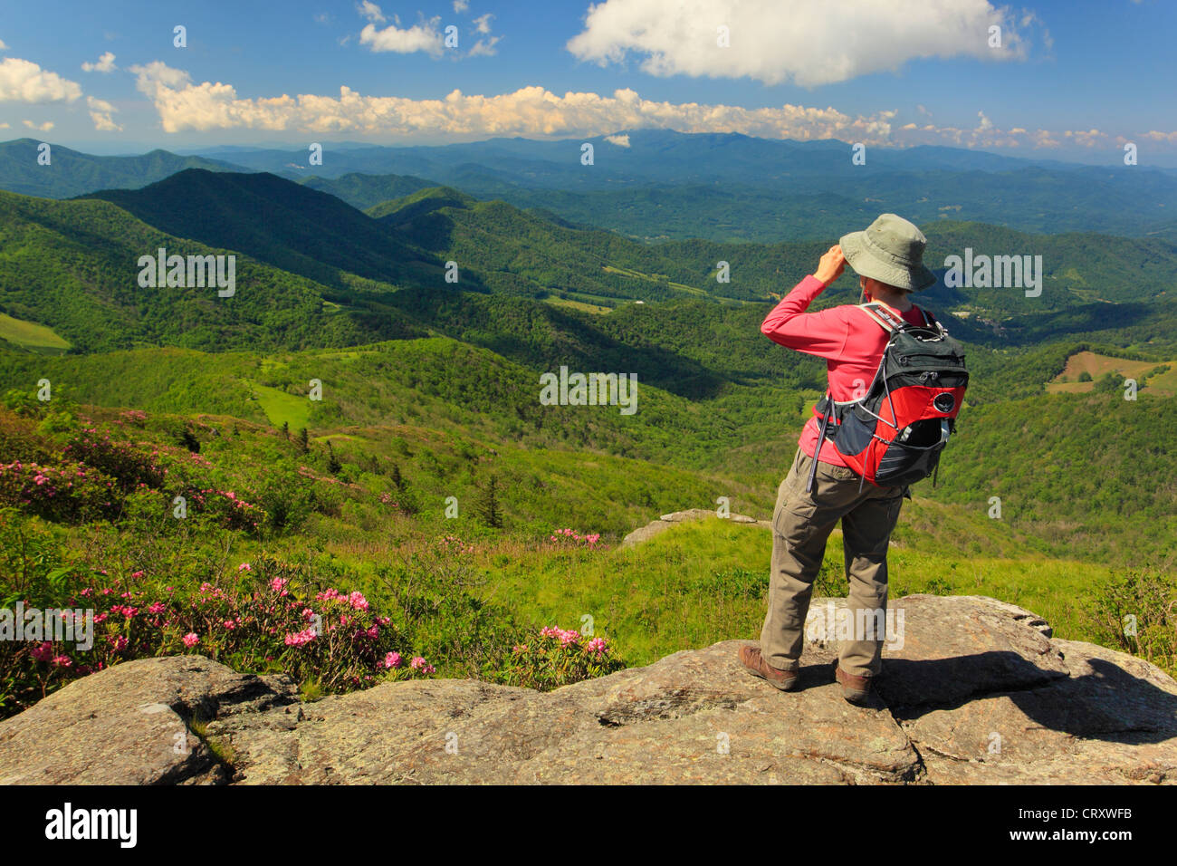 View From Grassy Ridge, Roan Mountain, Tennessee / North Carolina, USA ...