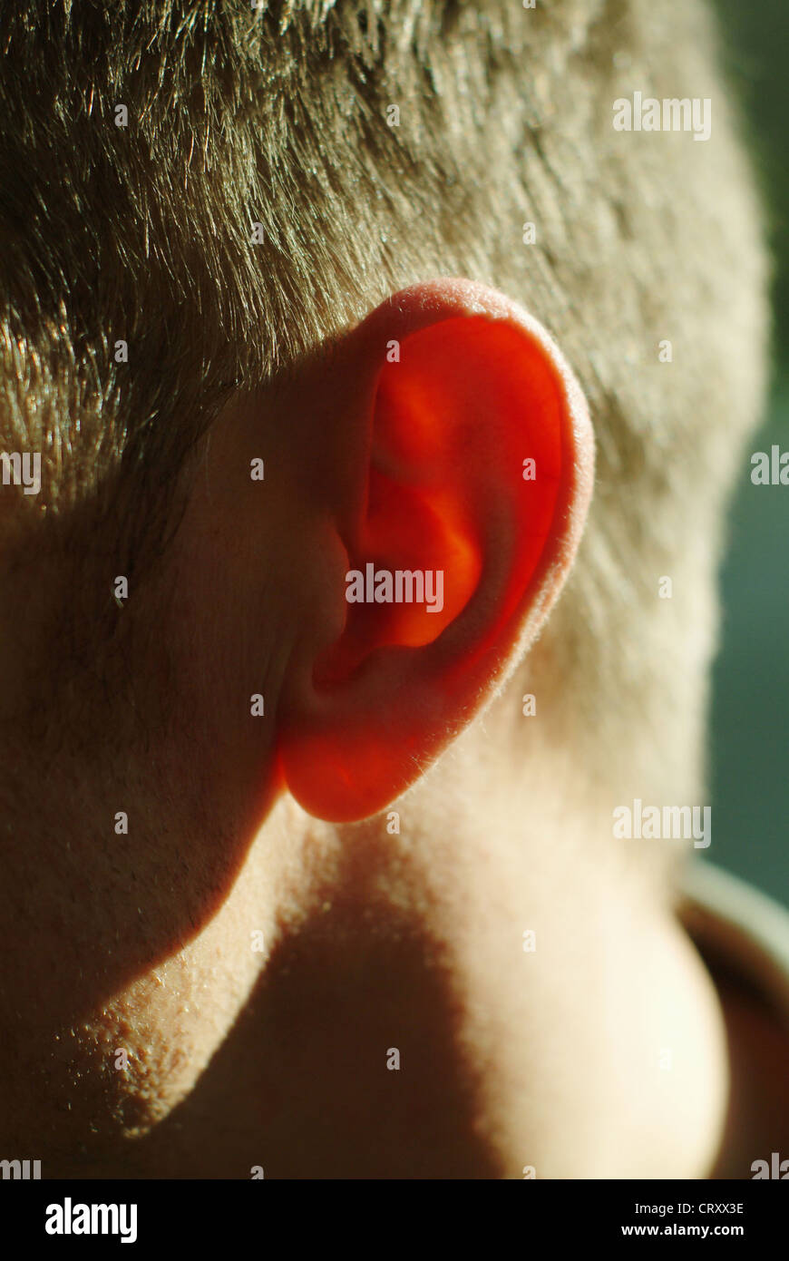 Turn ear hi-res stock photography and images - Alamy