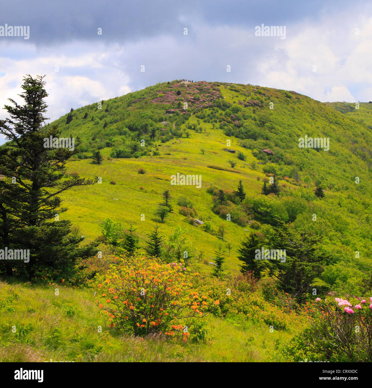 Along Appalachian Trail in Engine Gap, Look at Jane Bald, Roan Mountain ...