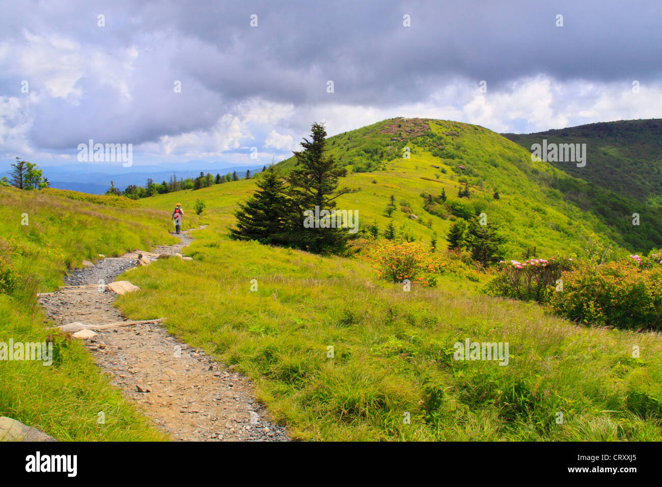 Along Appalachian Trail in Engine Gap, Look at Jane Bald, Roan Mountain ...