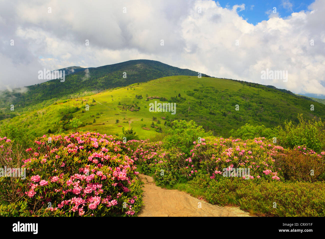 Along Appalachian Trail on Jane Bald, Look at Round Bald, Roan Mountain ...