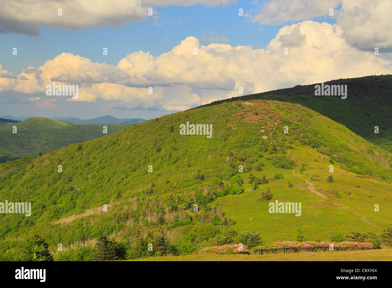 Along Appalachian Trail on Round Bald, Look at Jane Bald, Roan Mountain ...