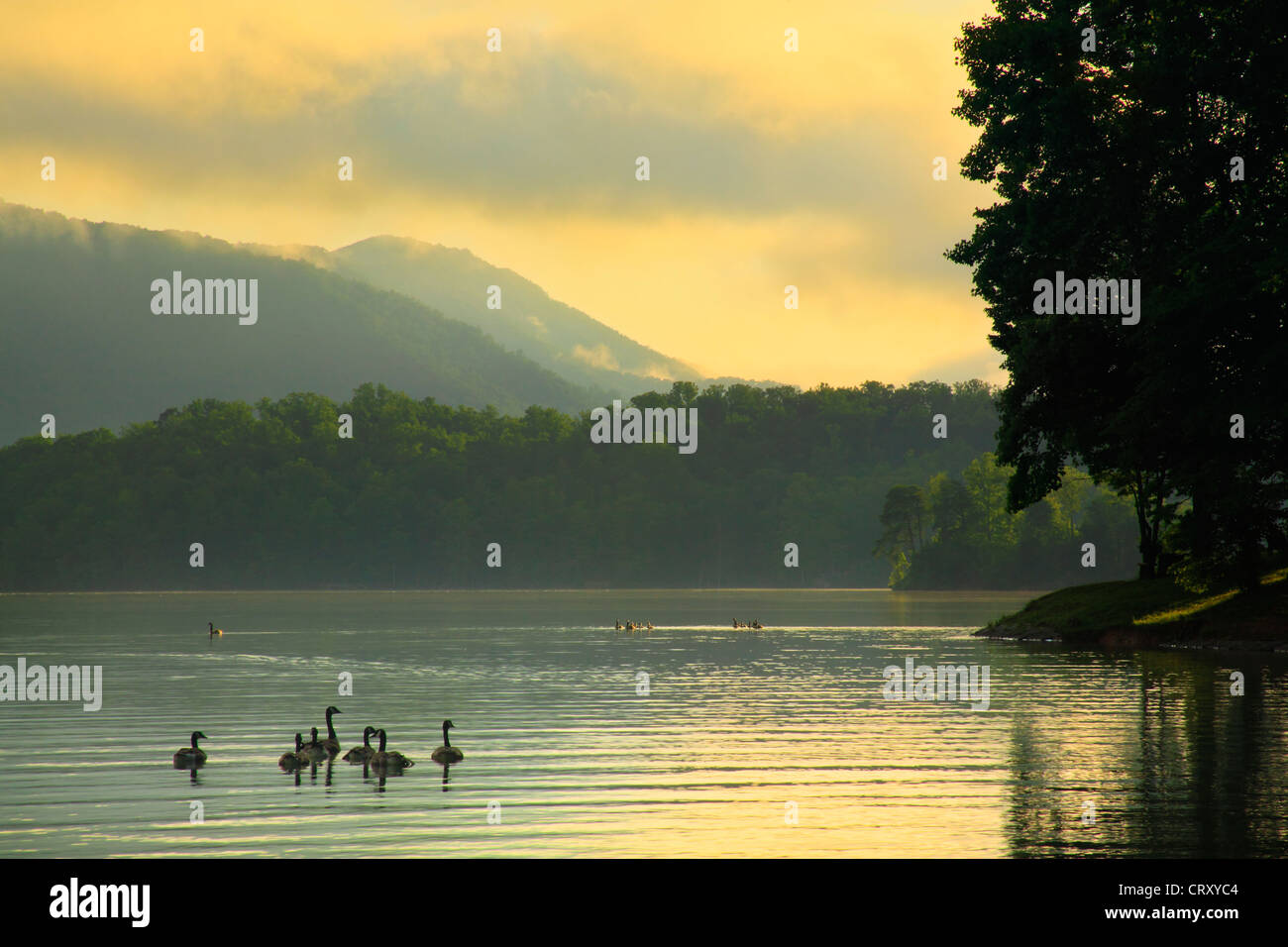 Camp branch hi-res stock photography and images - Alamy