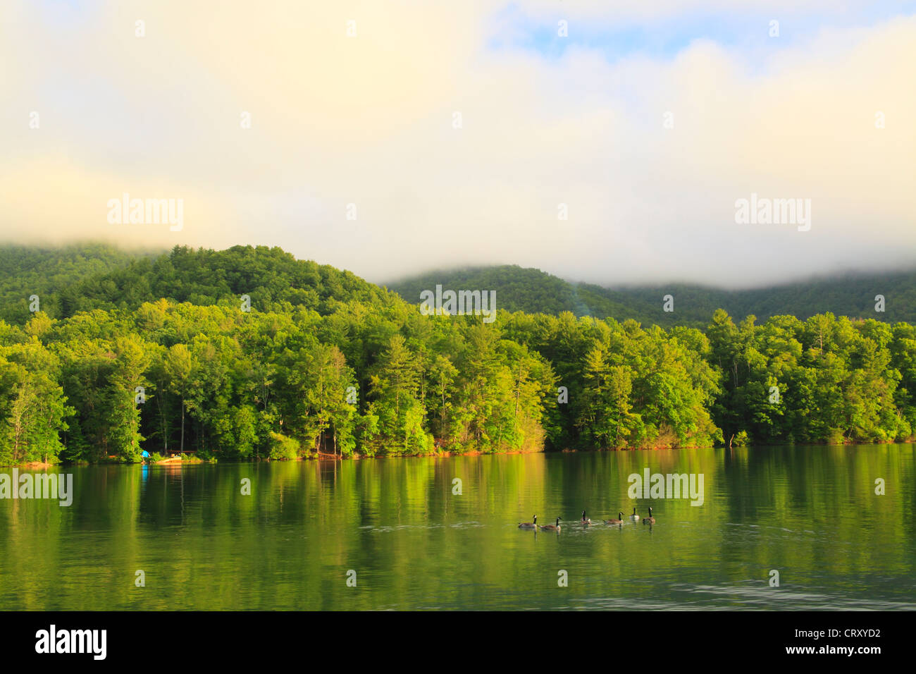 Watauga reservoir hi-res stock photography and images - Alamy