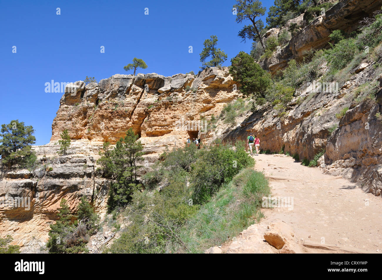 Bright Angel trail, Grand Canyon, Arizona, USA Stock Photo - Alamy