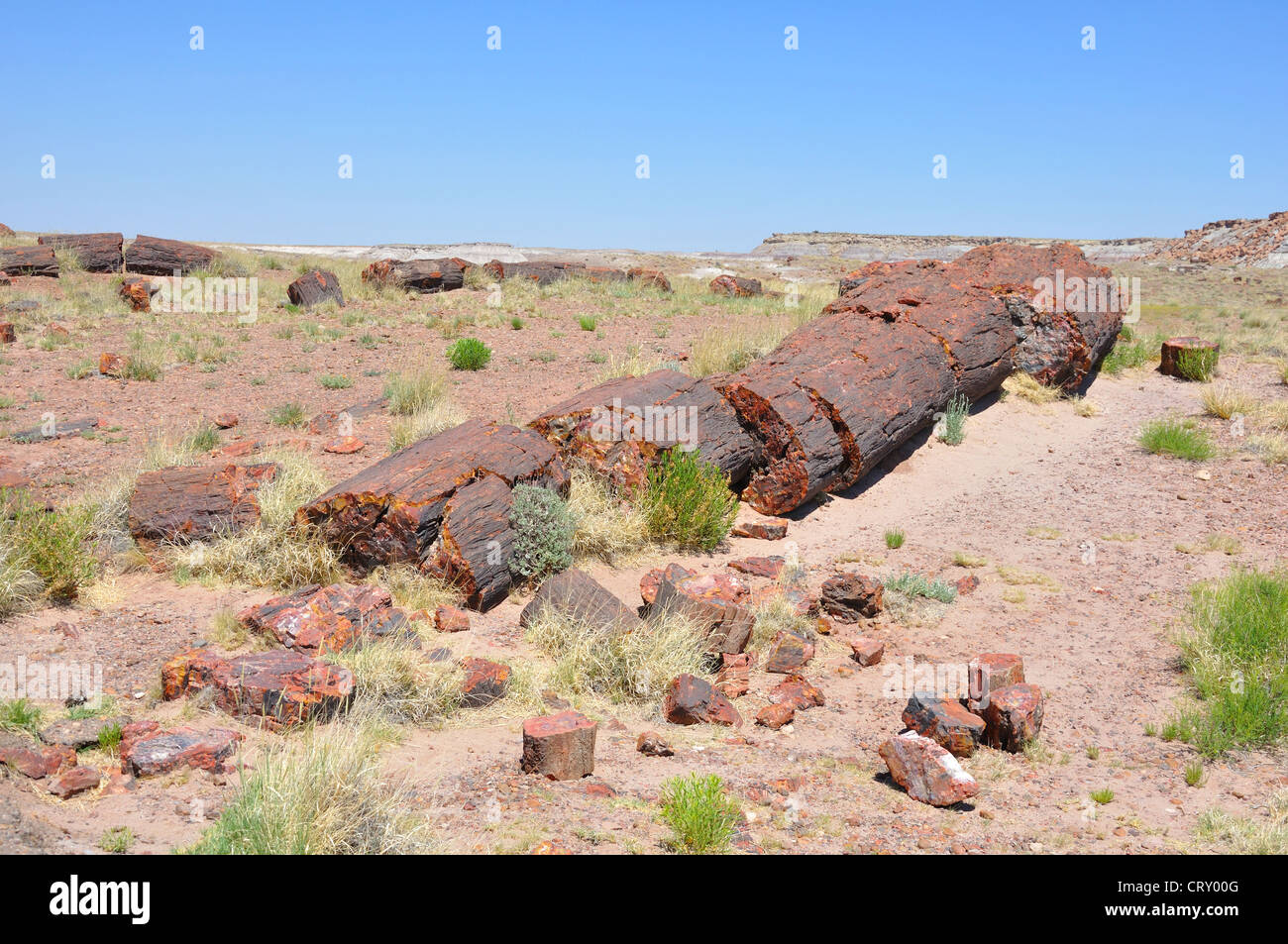 Petrified Forest National Park, Arizona, USA Stock Photo - Alamy