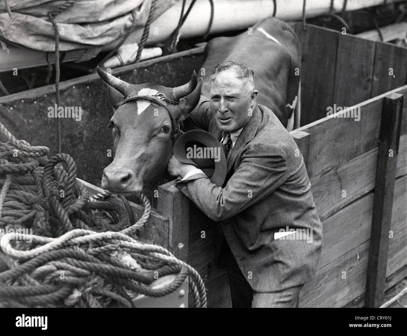 Arctic Explorer Captain Bob Bartlett with Cow aboard the Schooner Effie ...