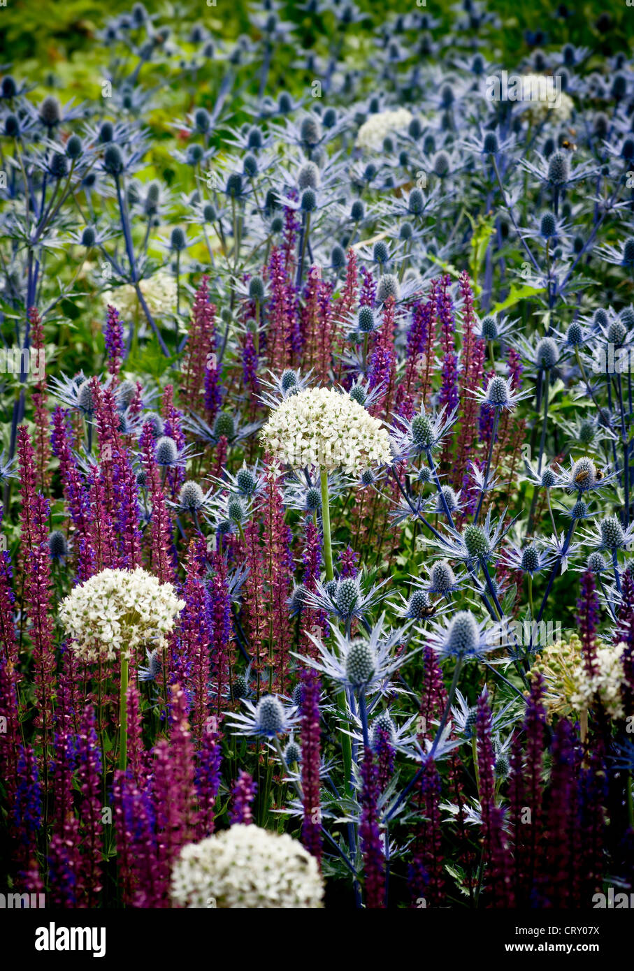 Mixed flower border hi-res stock photography and images - Alamy
