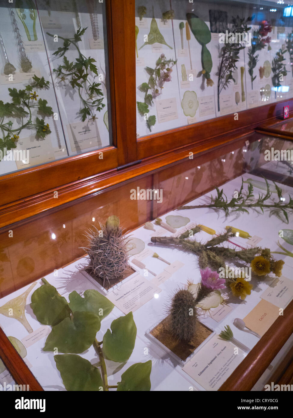 Boston Science Museum High Resolution Stock Photography and Images - Alamy
