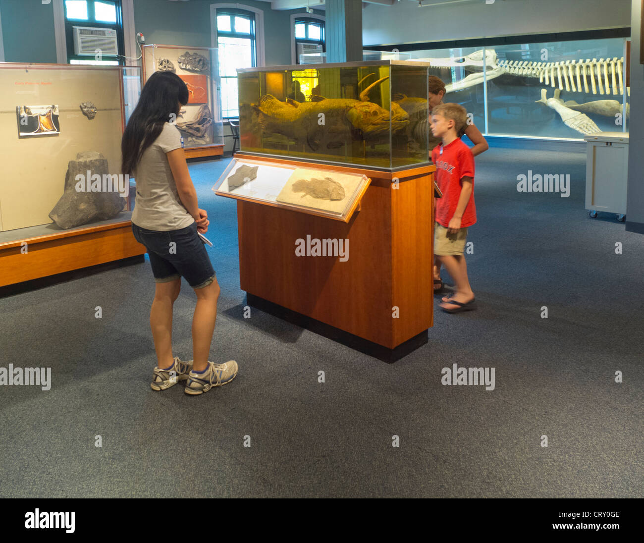 Interior harvard university science center hi-res stock photography and ...