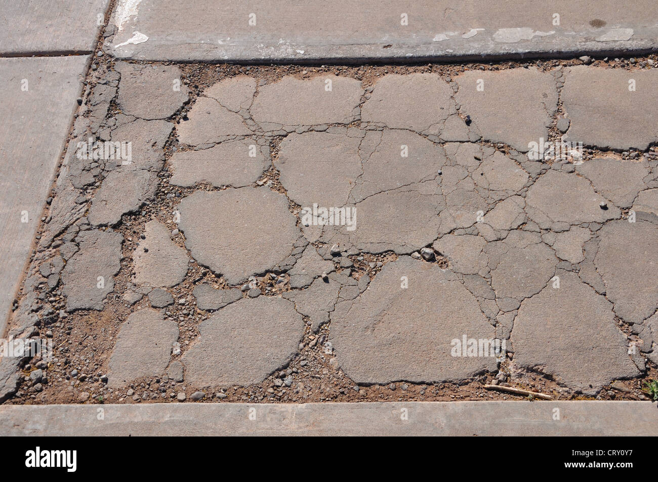 Cracked cement pavement Stock Photo - Alamy