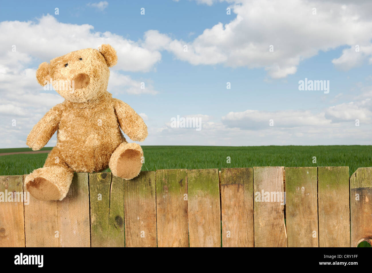 teddy bear seated on an old wooden fence outdoors with clouds as ...