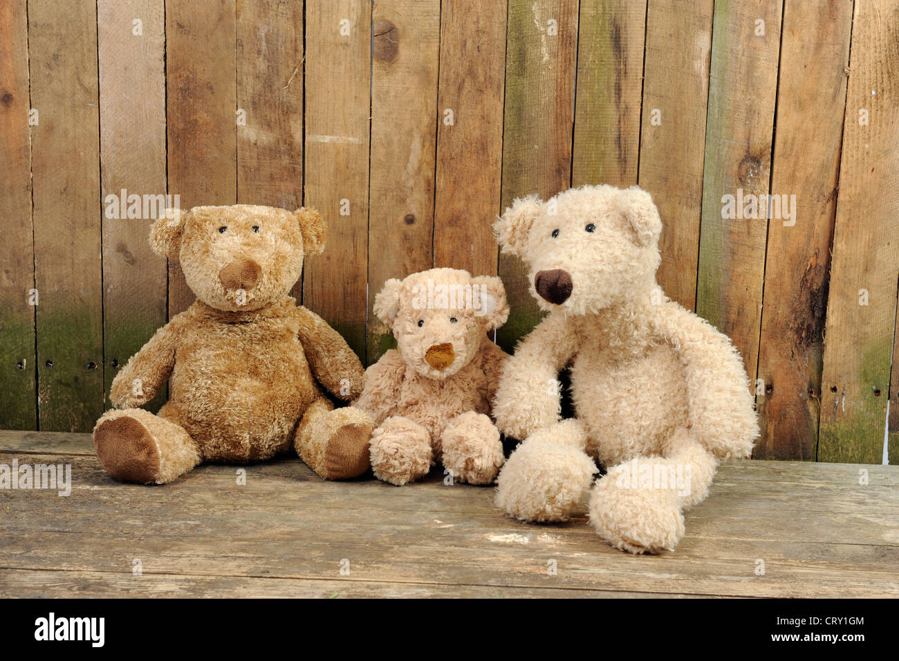 three teddy bears seated against a old wooden wall Stock Photo - Alamy