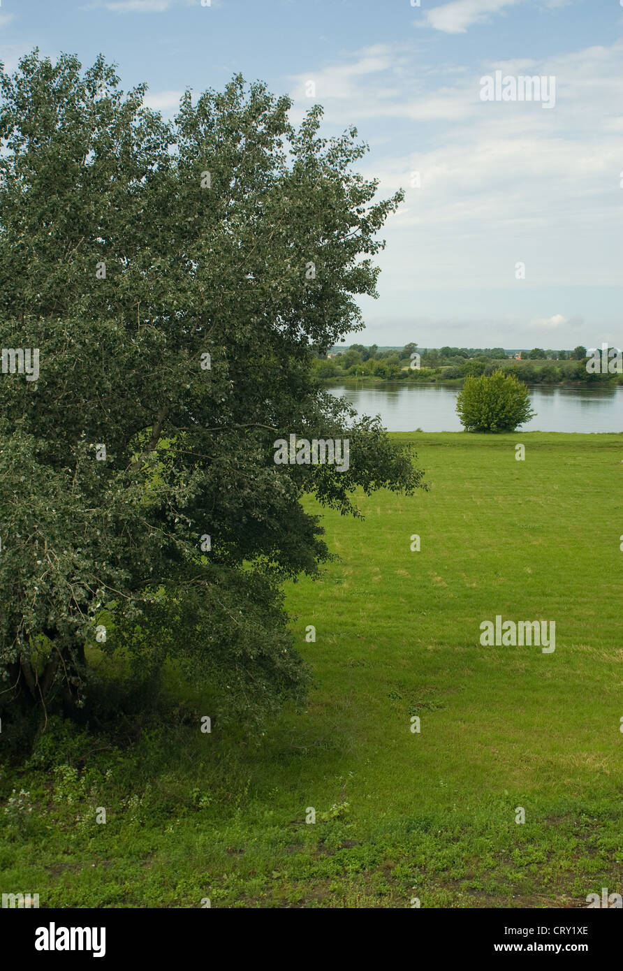 tree and river Stock Photo - Alamy