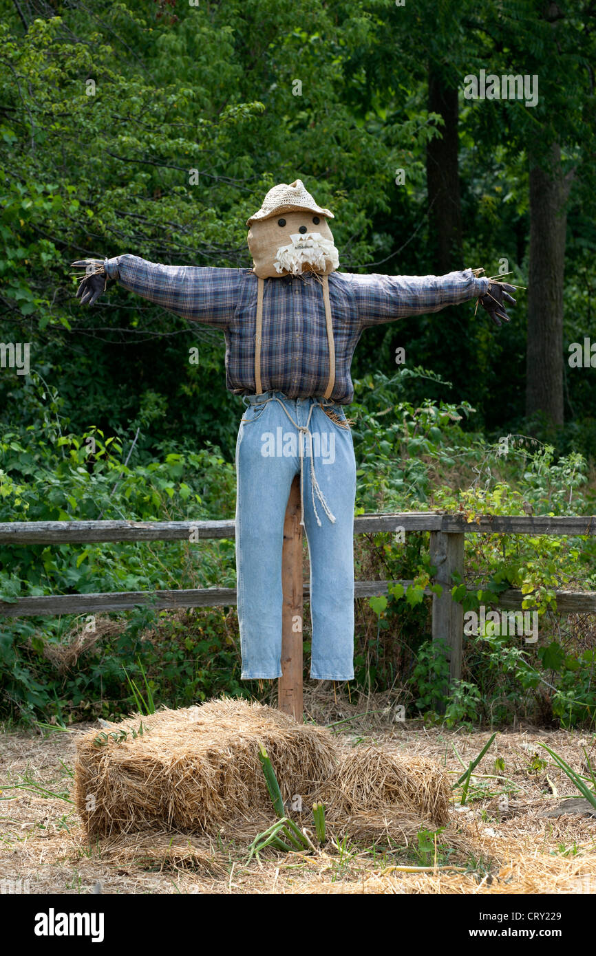 Scarecrow in garden Stock Photo - Alamy