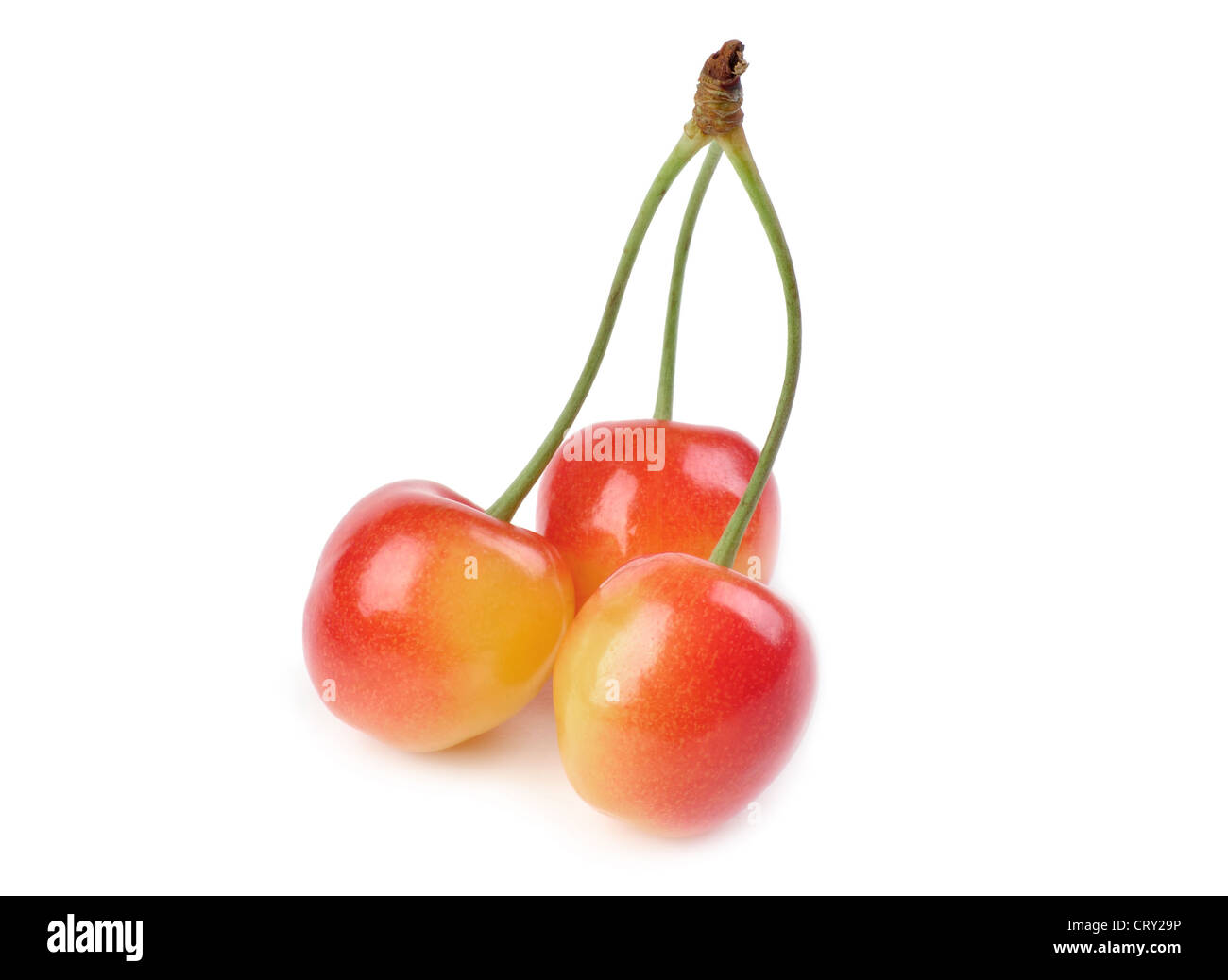 three cheriies on white background Stock Photo - Alamy