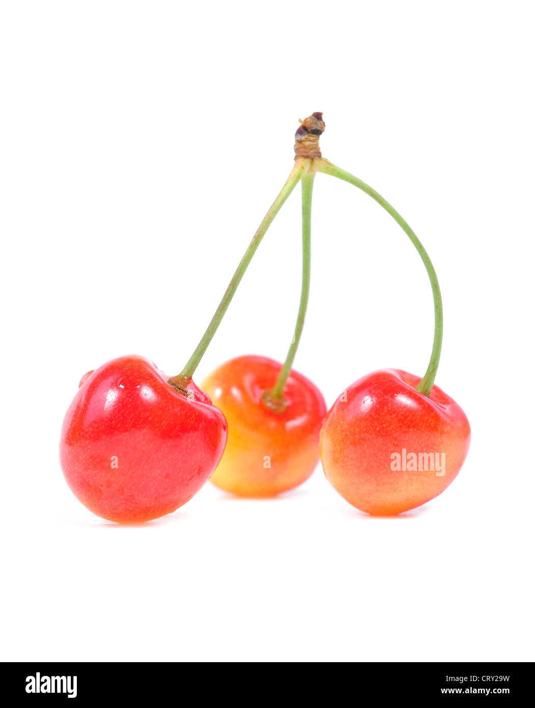 three cherriies on white background Stock Photo - Alamy