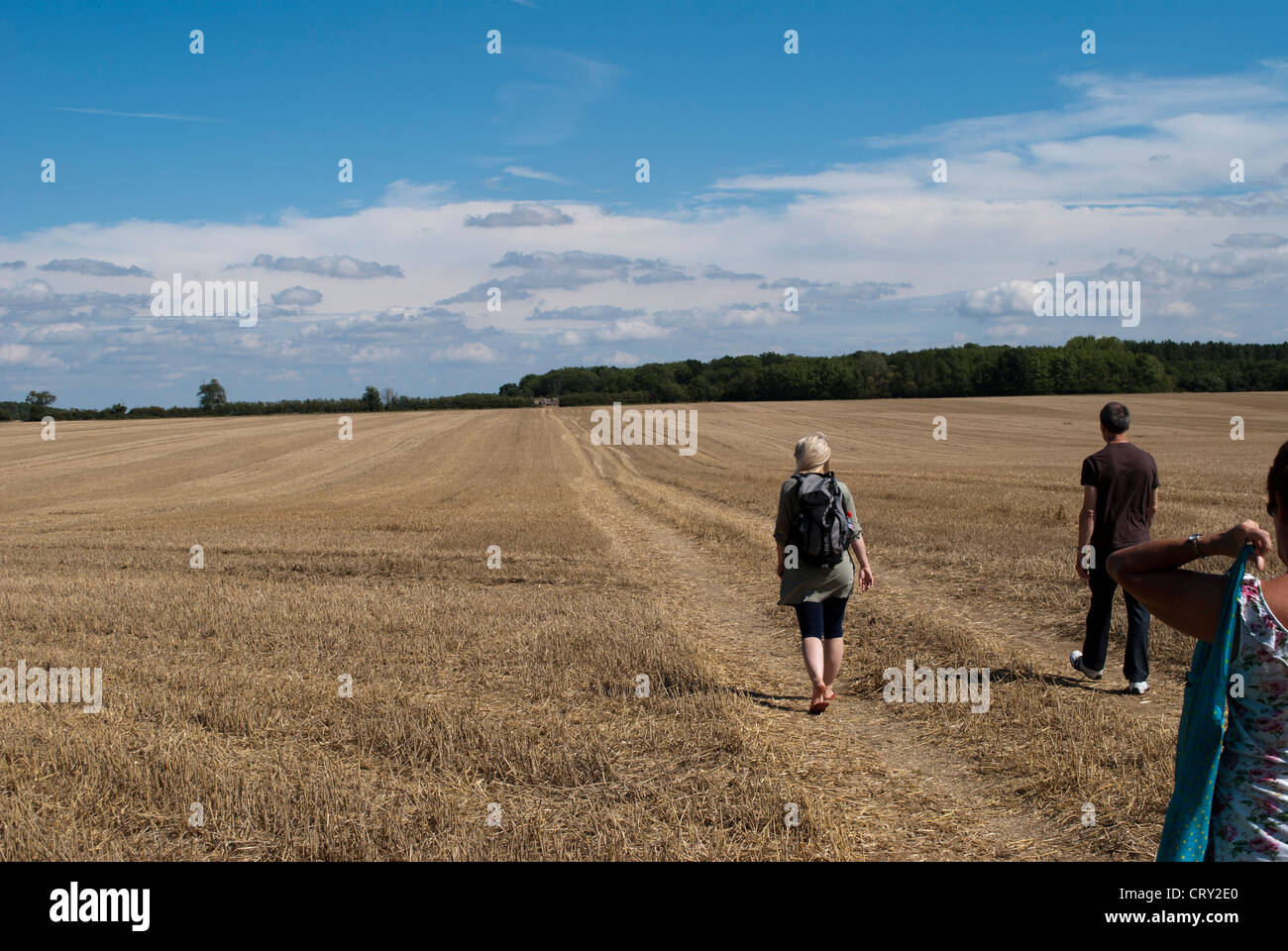 People walking across field with tractor marks extending across bare ...