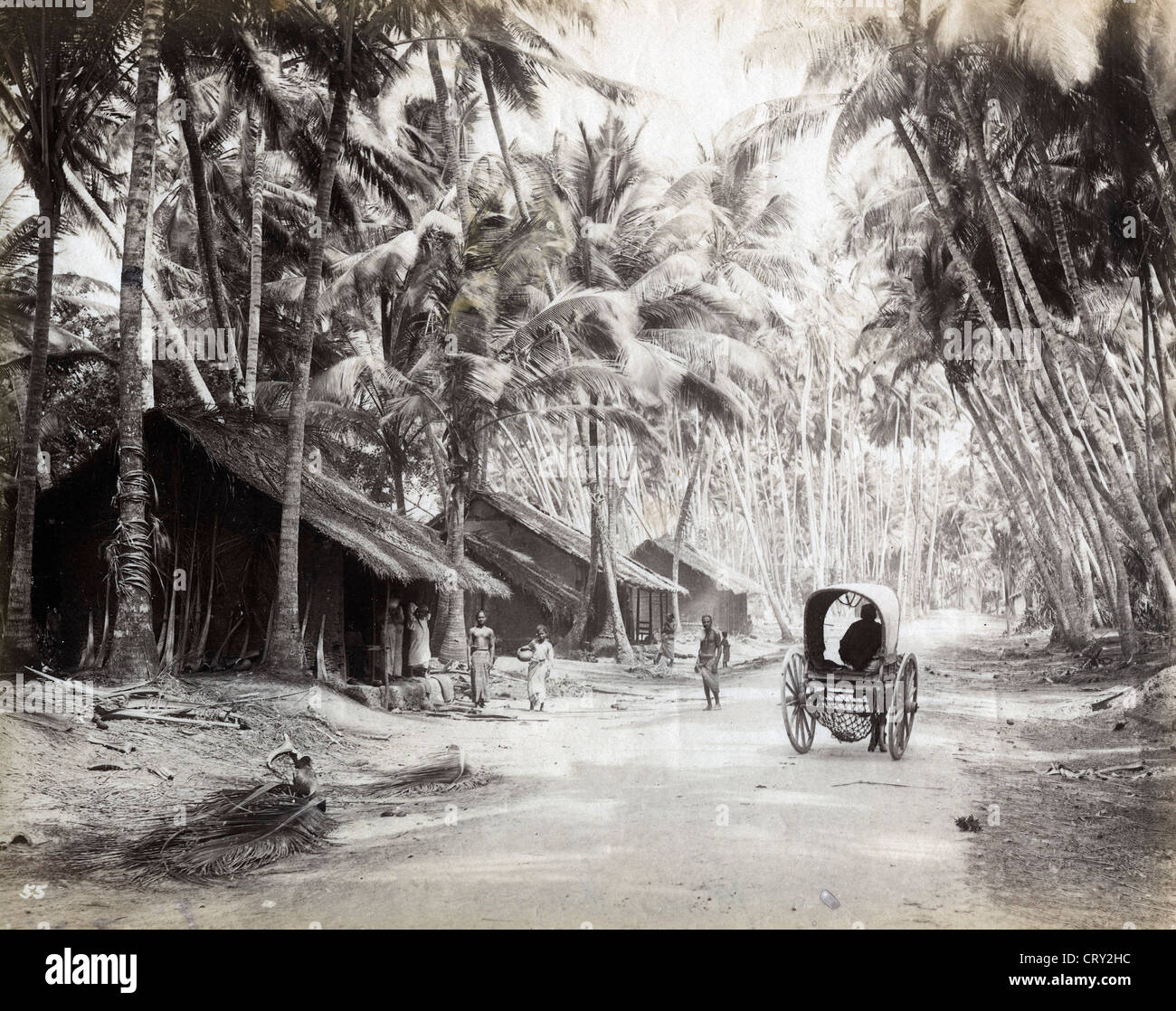 Country Road, Colombo, Ceylon, ca 1880 Stock Photo - Alamy