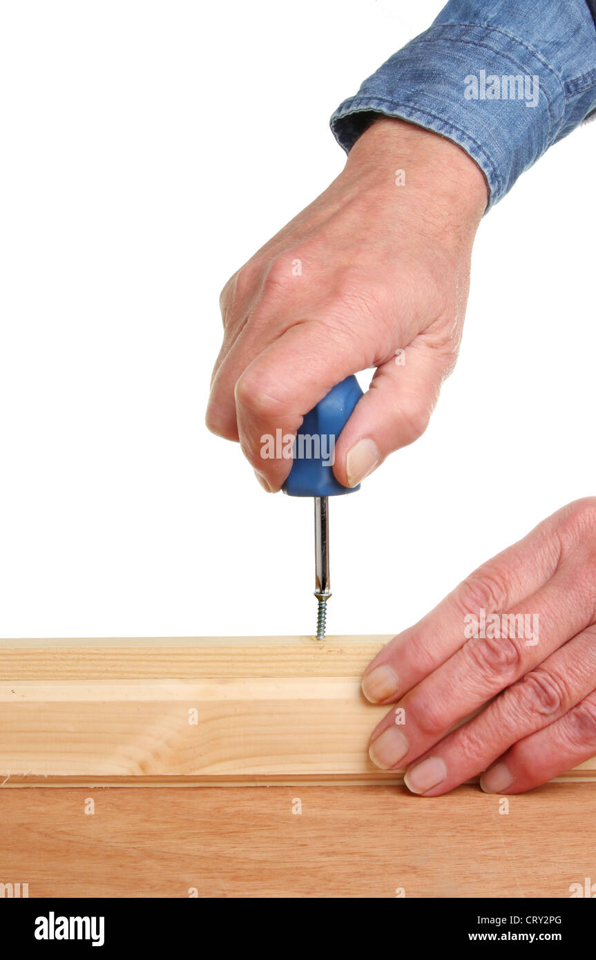 Closeup of hands with a screwdriver fixing a screw into wood Stock ...