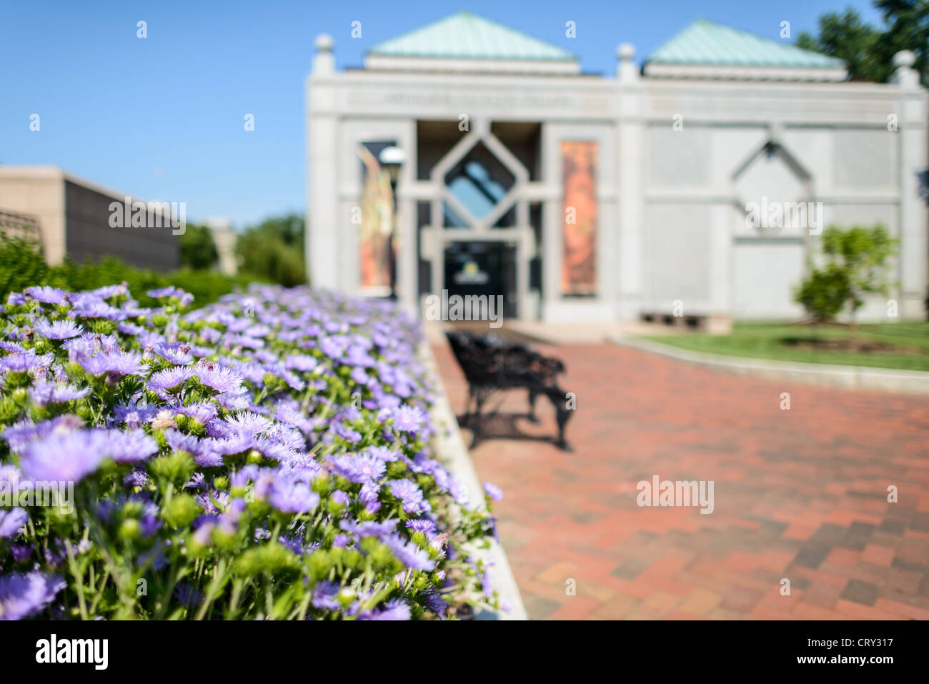 Sackler Gallery Entrance with Flowers. Entrance of the Sackler Gallery ...