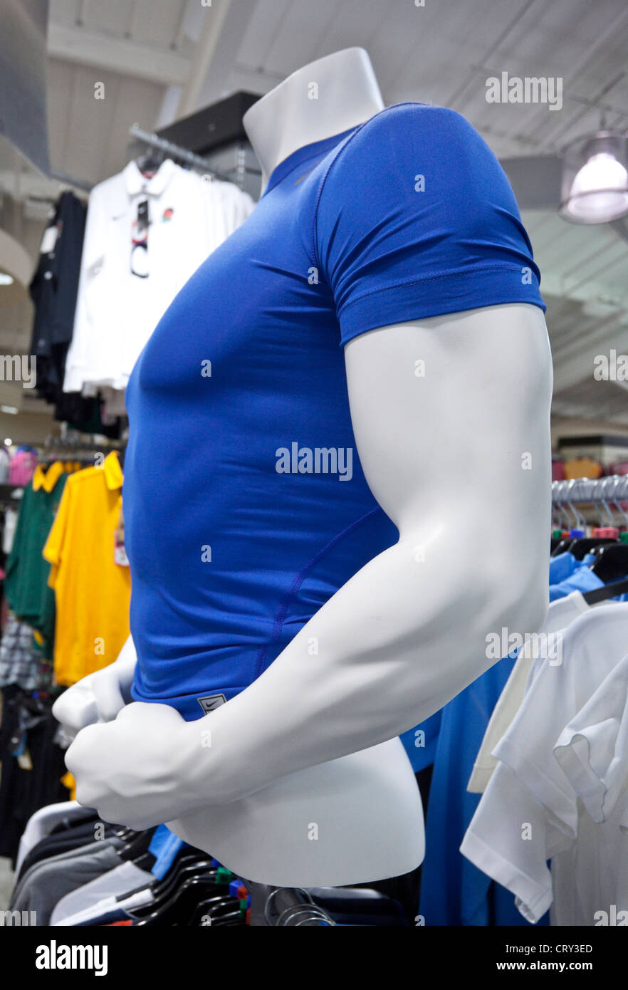 Muscled male mannequin torso wearing a sports blue T-shirt inside a ...