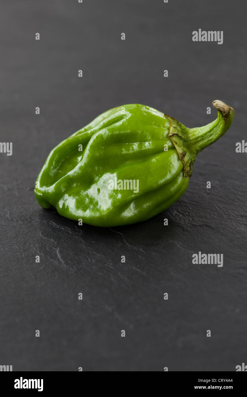 Green Scotch Bonnet Chilli Stock Photo - Alamy