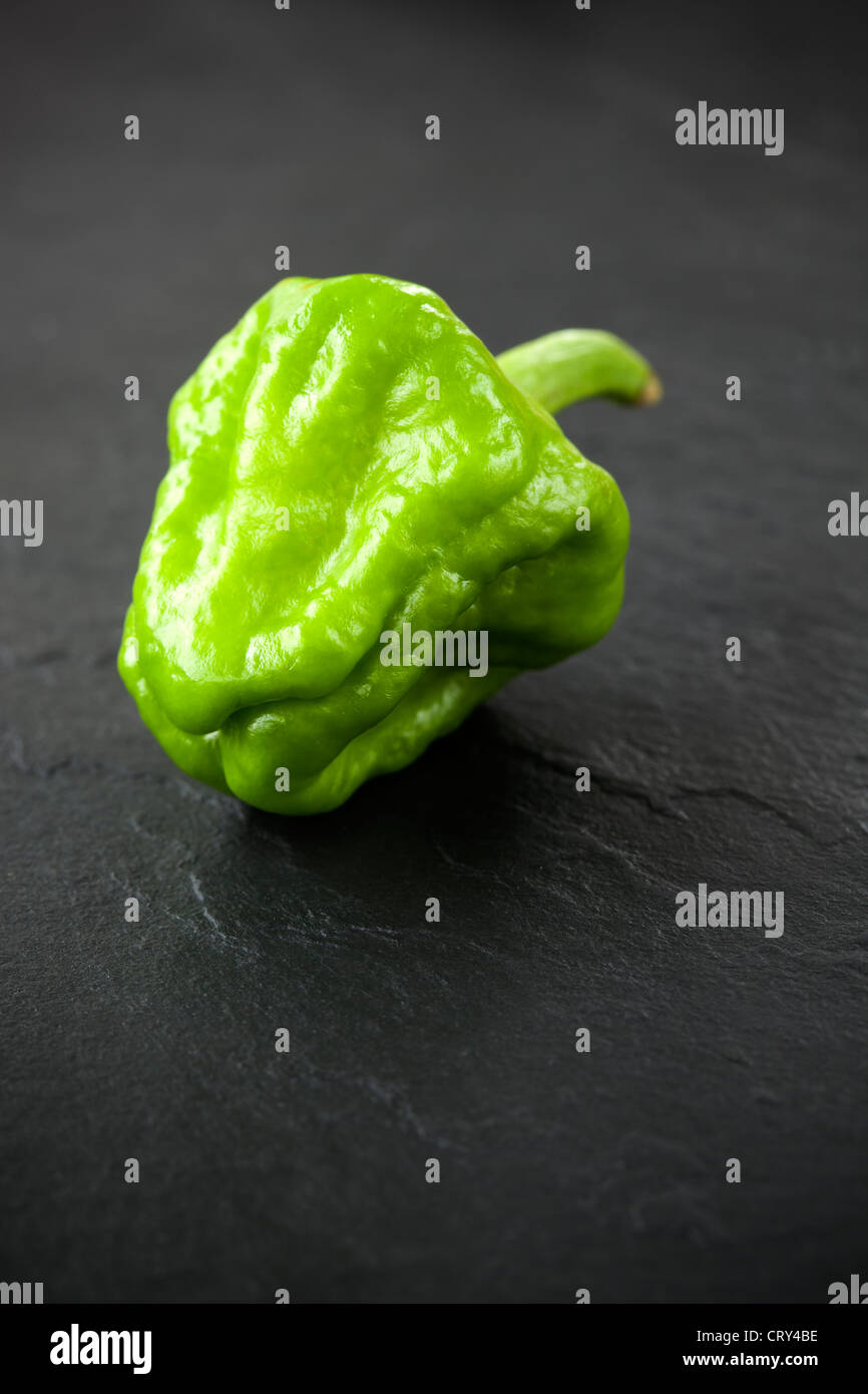 Green Scotch Bonnet Chilli Stock Photo - Alamy
