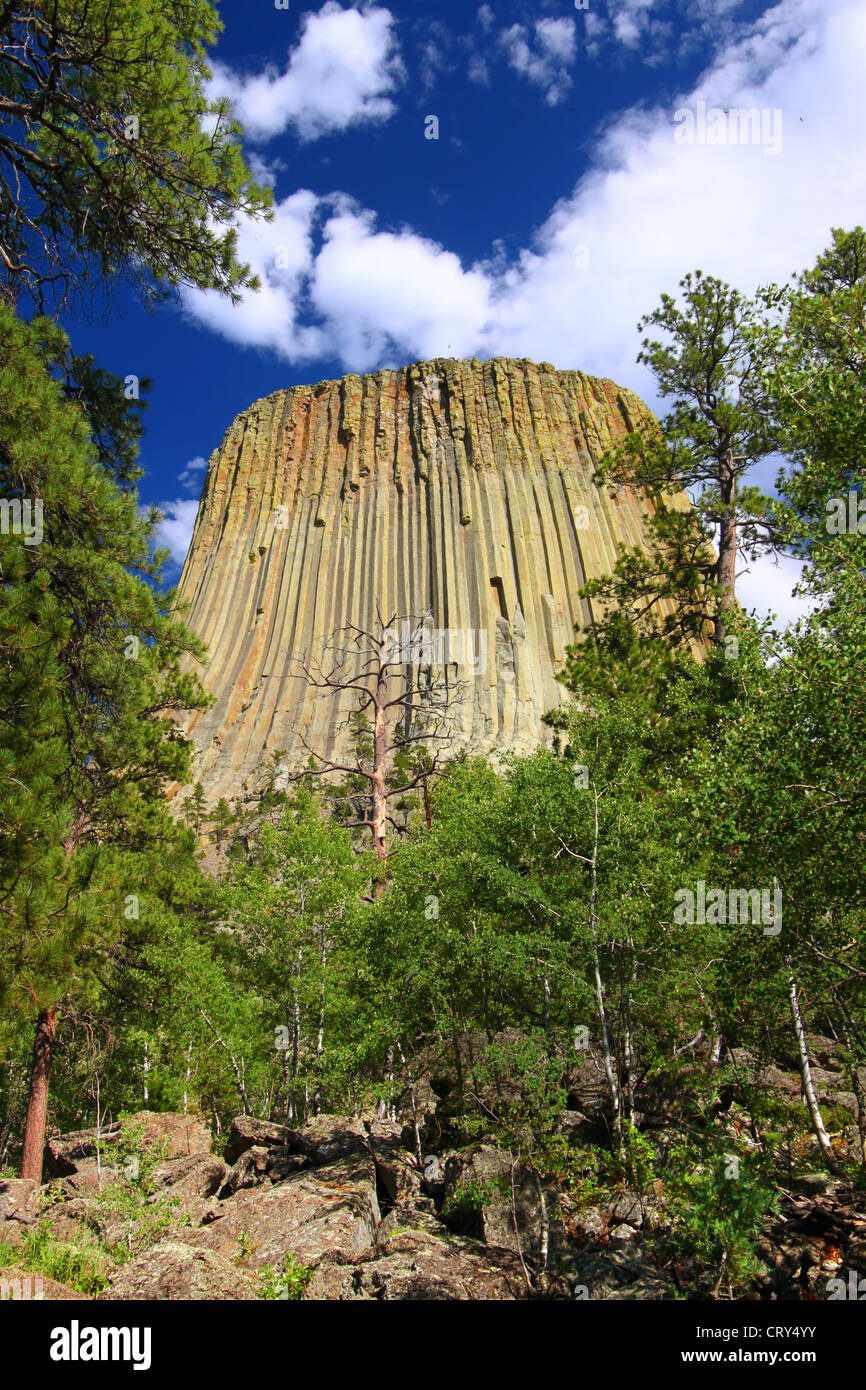 Devils Tower National Monument Stock Photo - Alamy