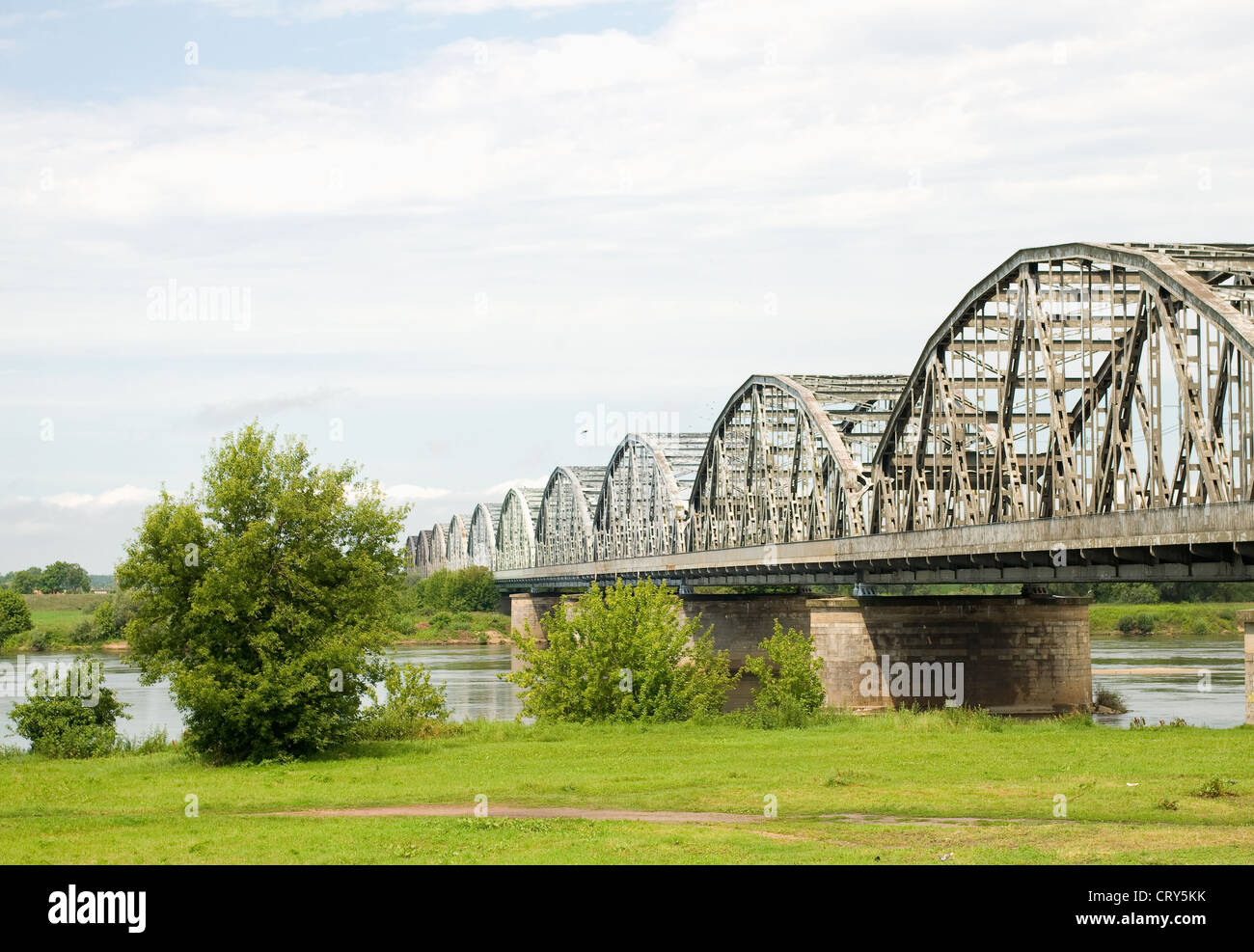 Tree trees bridge railing hi-res stock photography and images - Alamy