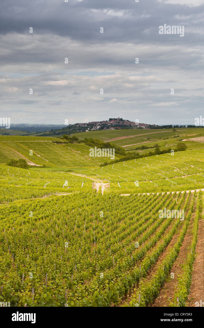The vineyards of Sancerre in the Loire Valley of France Stock Photo - Alamy