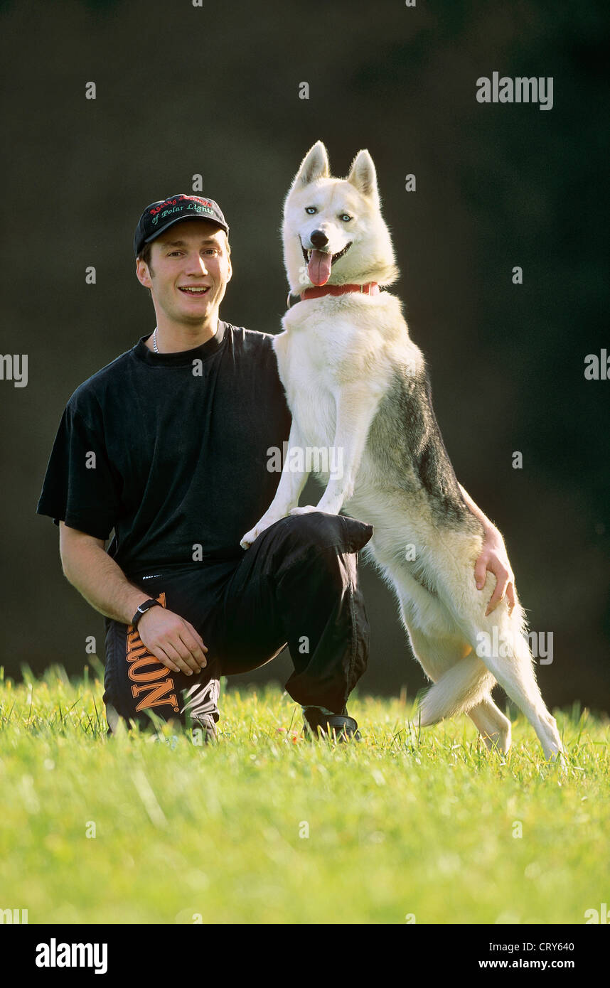 Young man with his Siberian Husky on a meadow Stock Photo - Alamy