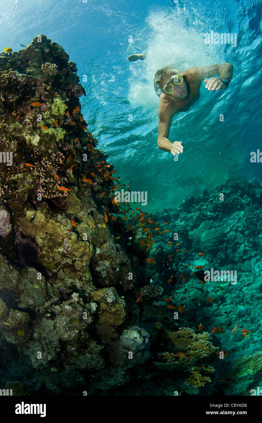 man dives into the ocean underwater shot of man and coral reef with ...