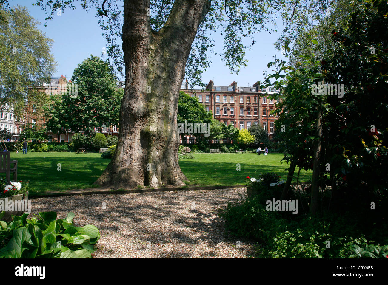 Communal gardens inside Nevern Square, Earls Court, London, UK Stock ...
