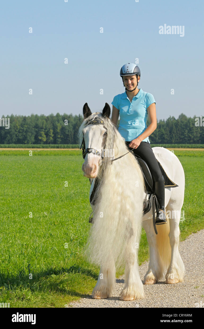Gypsy Vanner Horse Irish Tinker Young rider on a Tinker standing on a ...