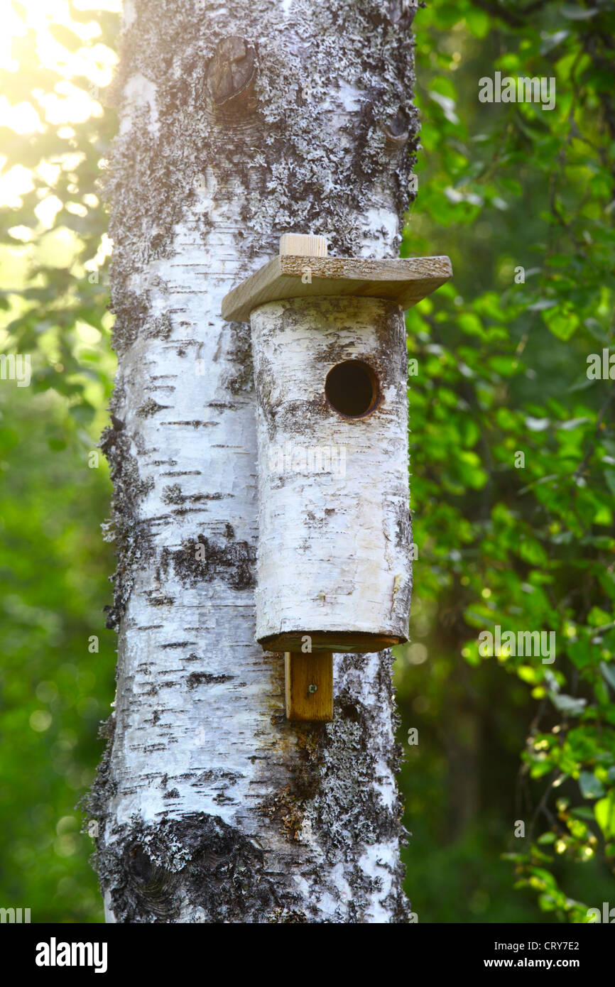 Birdhouse in tree Stock Photo - Alamy