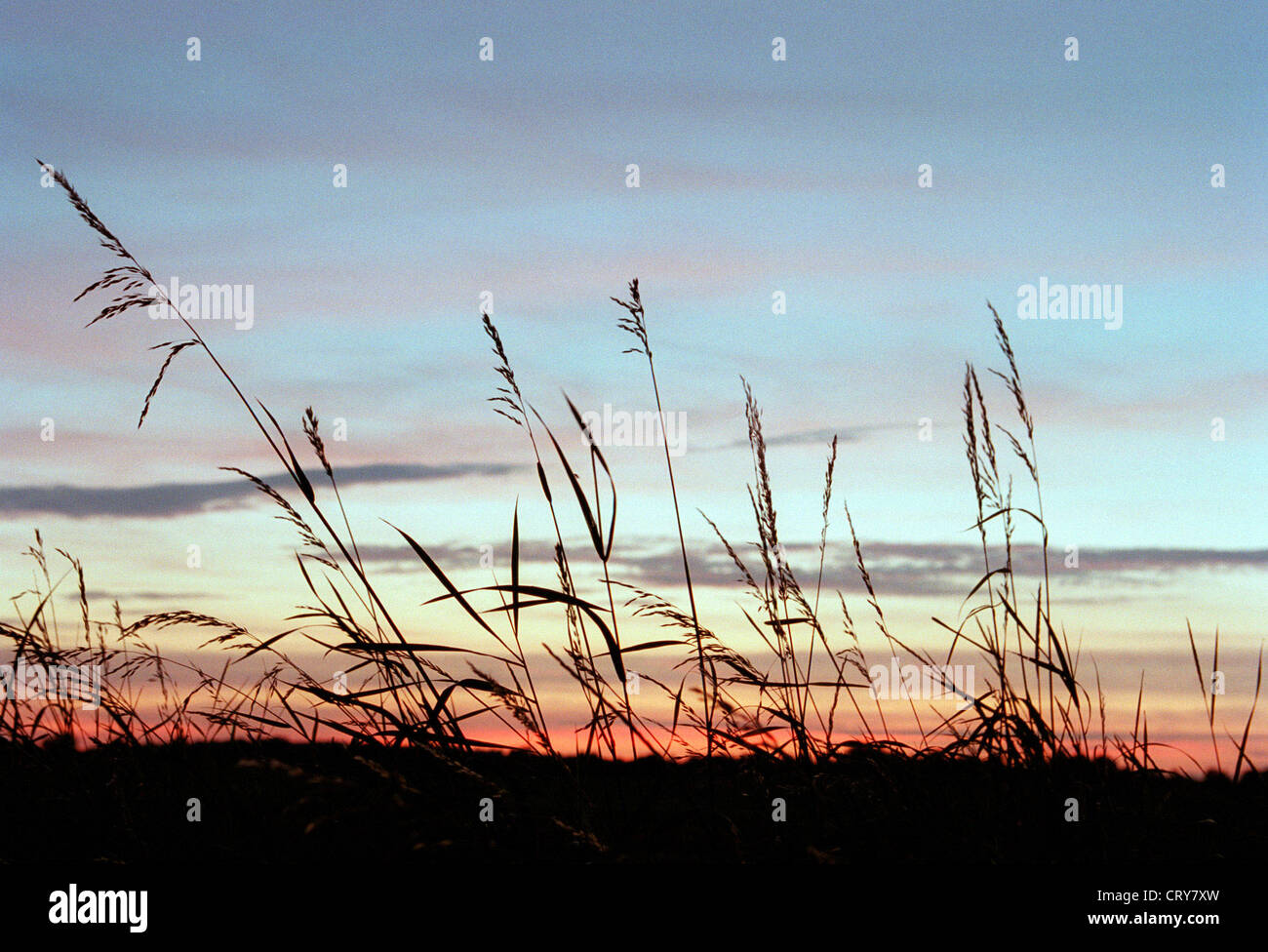 Graeser hi-res stock photography and images - Alamy