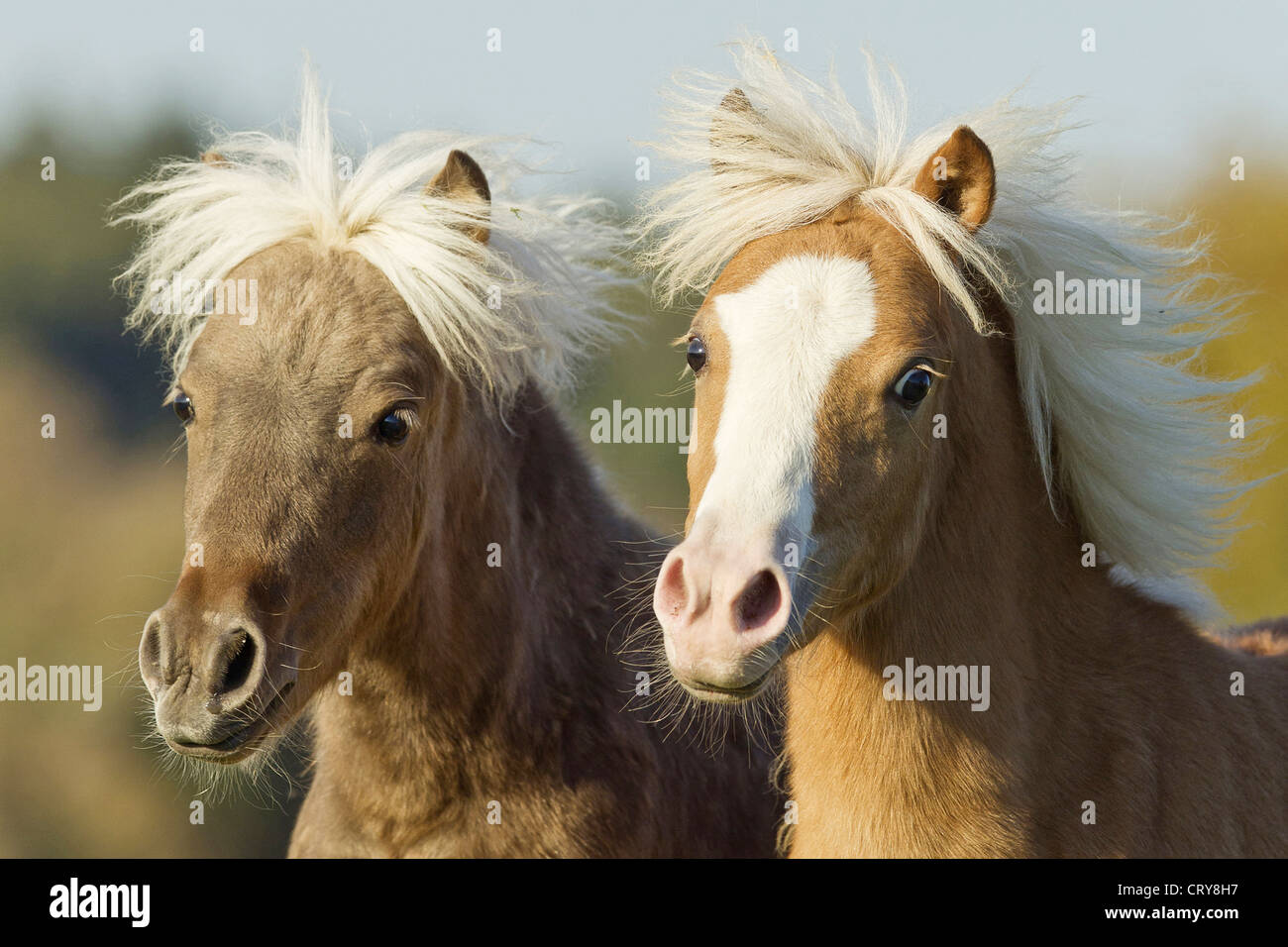 Portrait two hi-res stock photography and images - Alamy