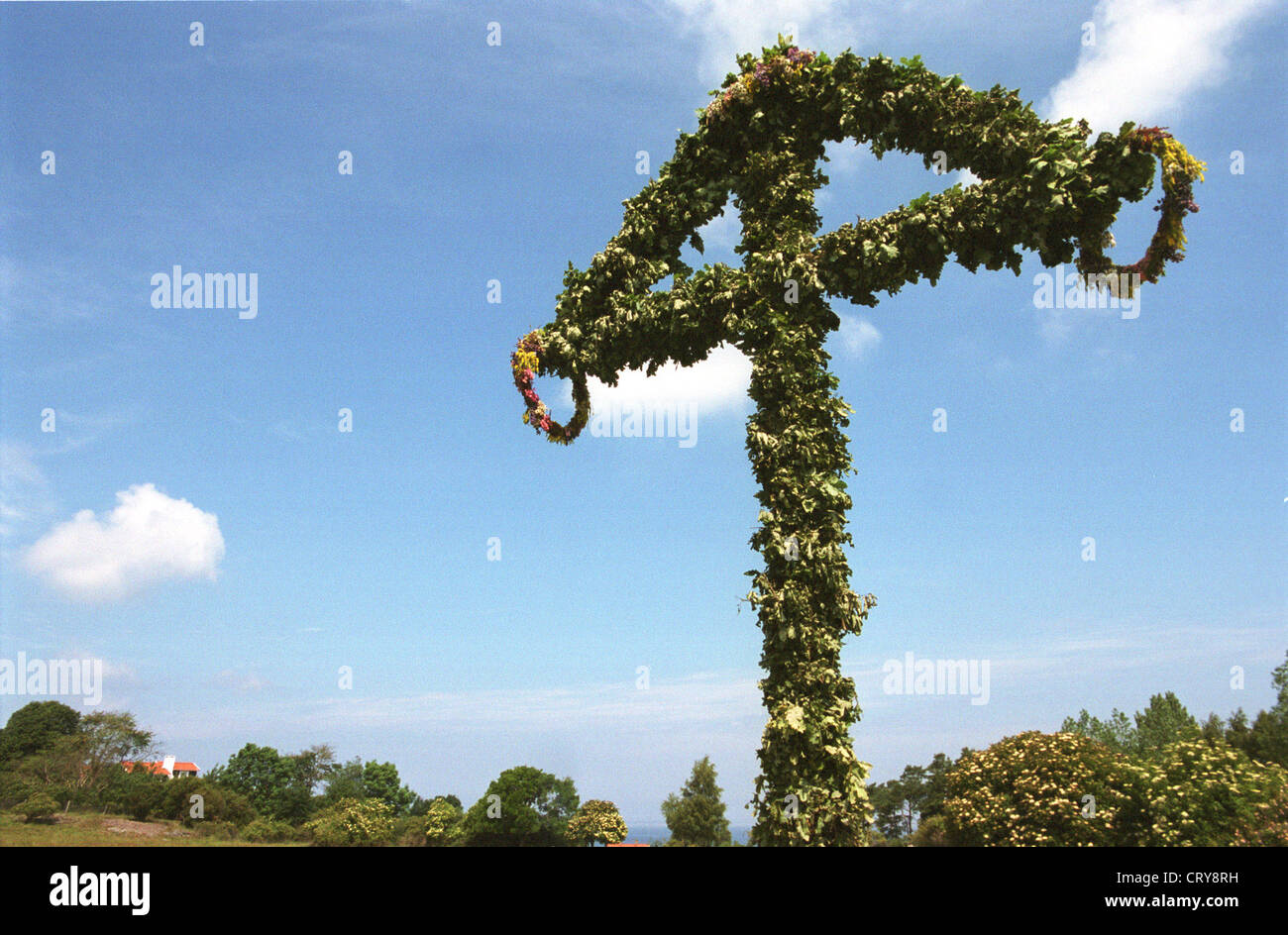 Midsummer tree in southern Sweden Stock Photo - Alamy