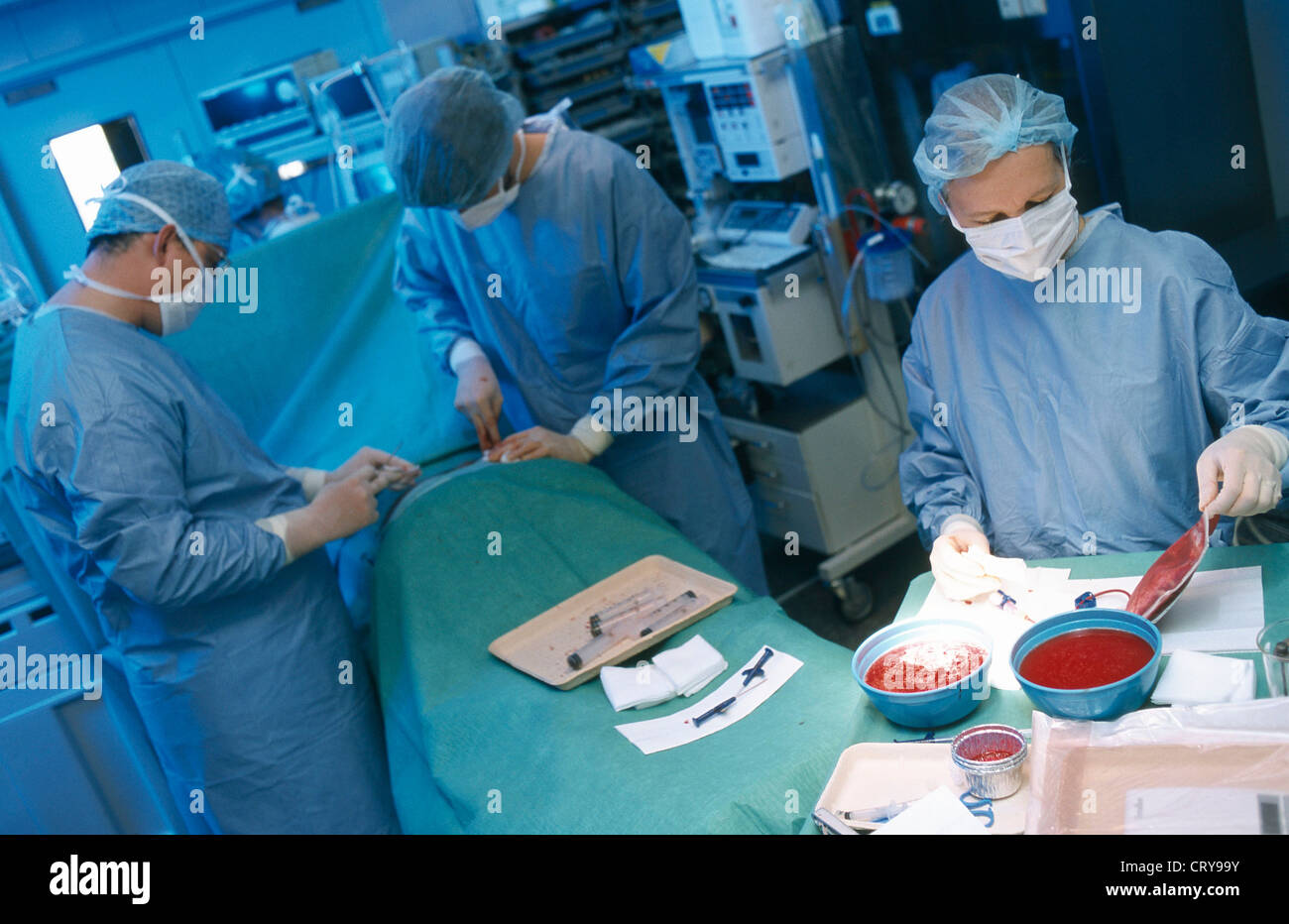 Human organ transplant bag hi-res stock photography and images - Alamy
