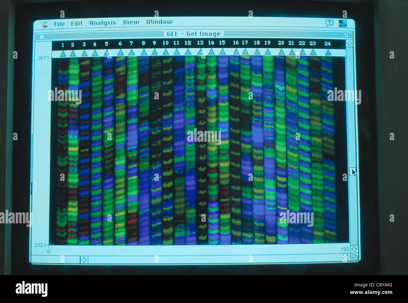 Dna sequencing mapping hi-res stock photography and images - Alamy