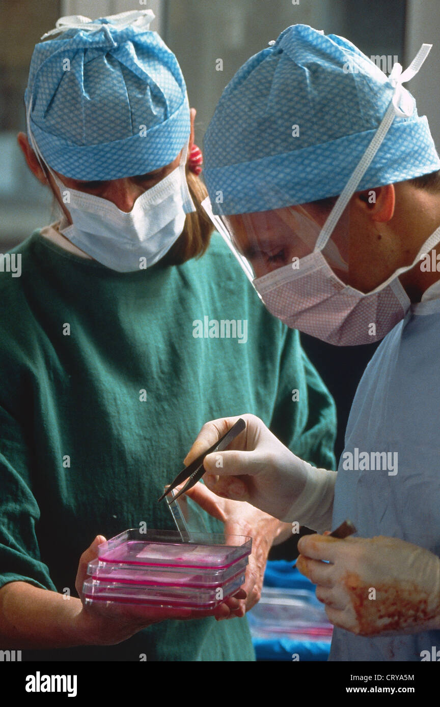 Skin burn cell hi-res stock photography and images - Alamy